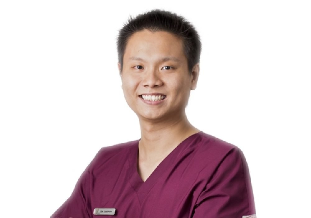 Dr Joshua Loh • Dental Surgeon • Healthcare Singapore